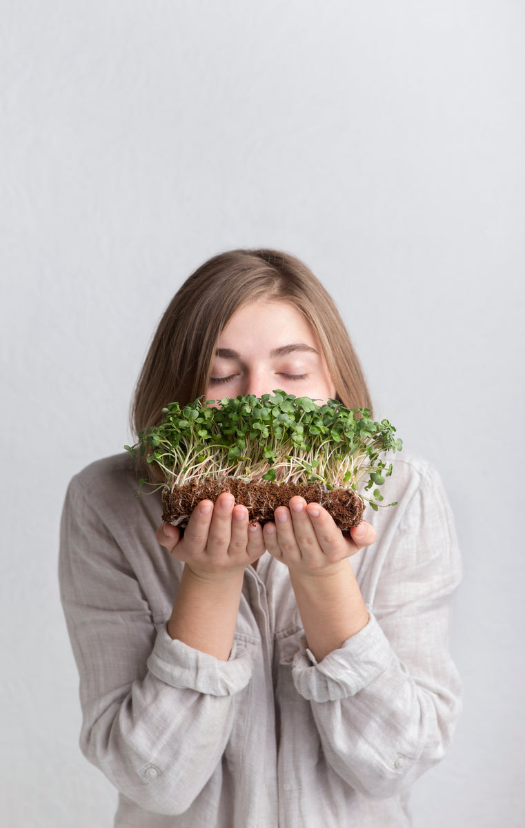 Sprouting, Seeds, & Raw Vegan Foods – Hippocrates Wellness