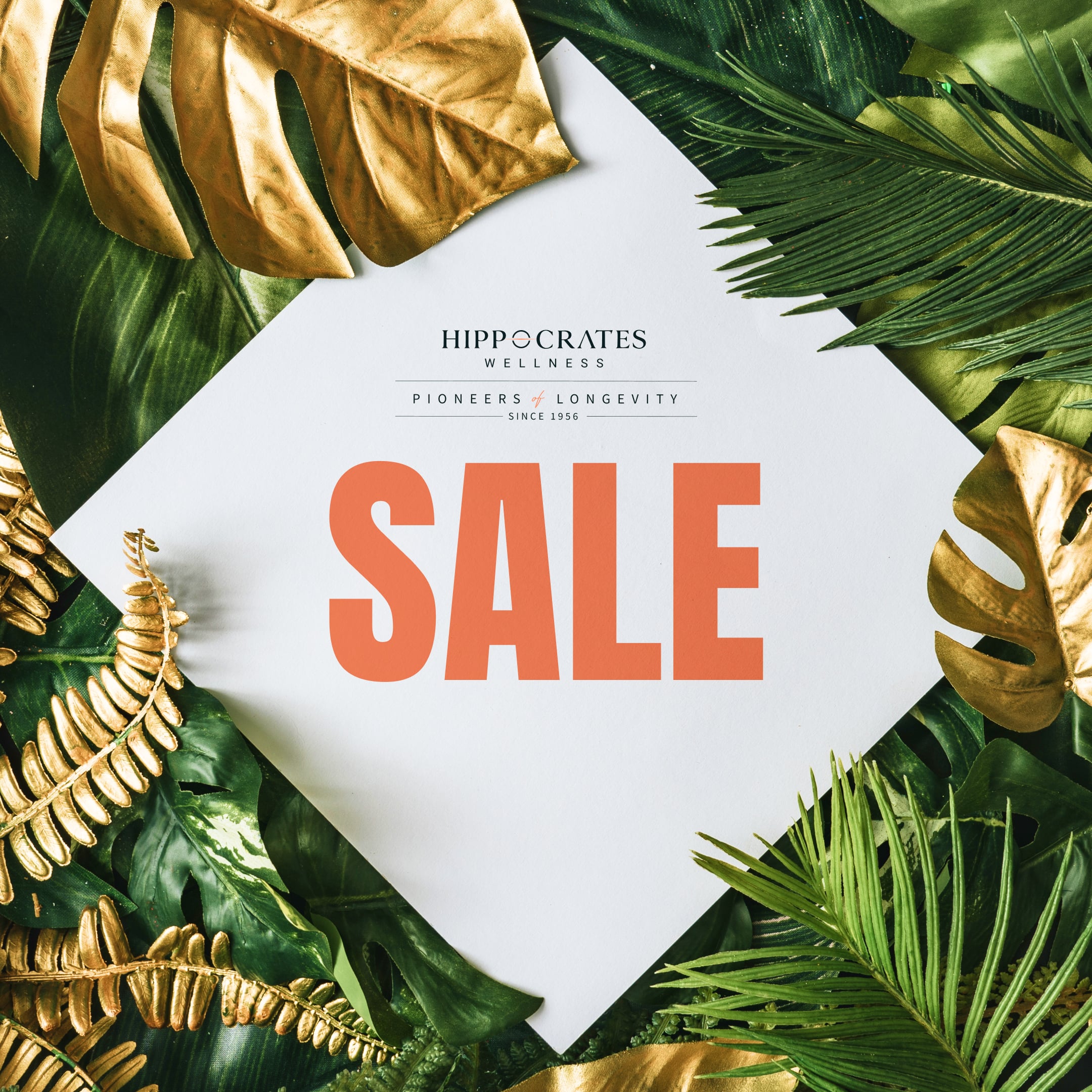 Hippocrates Wellness Store | Food State, Raw, and Vegan Supplements