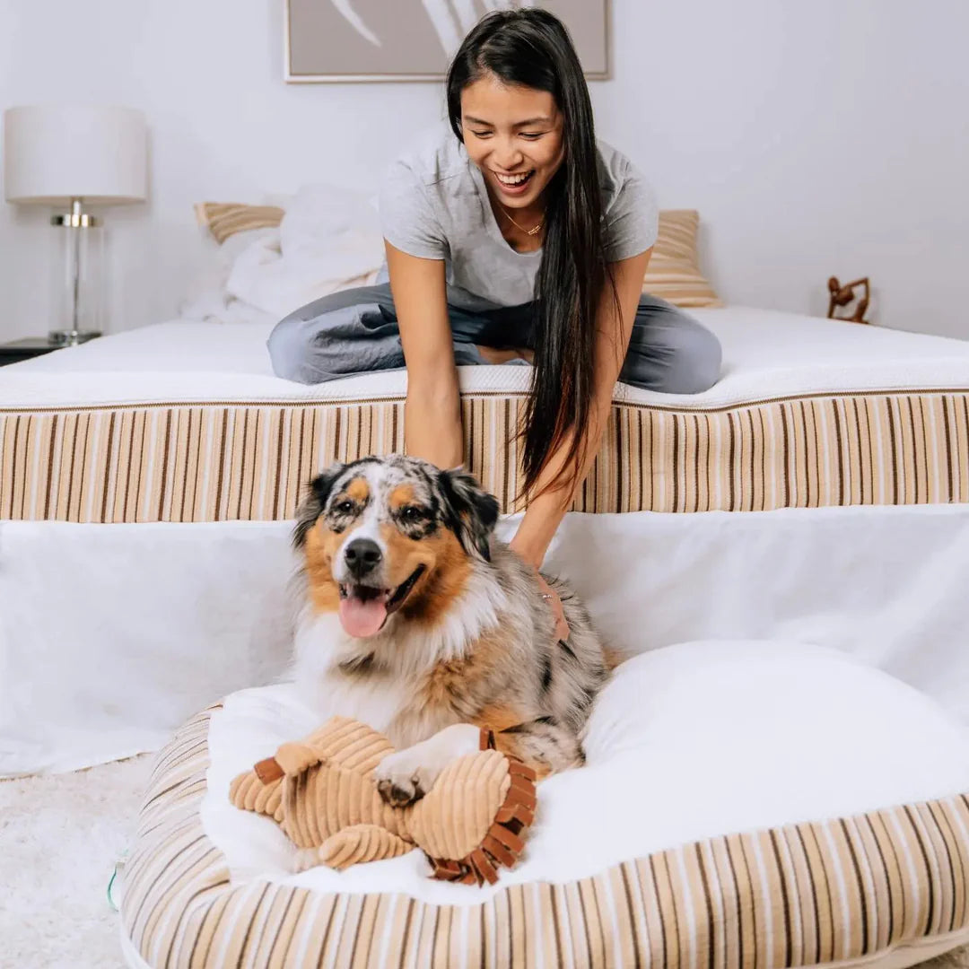 Essentia bed store