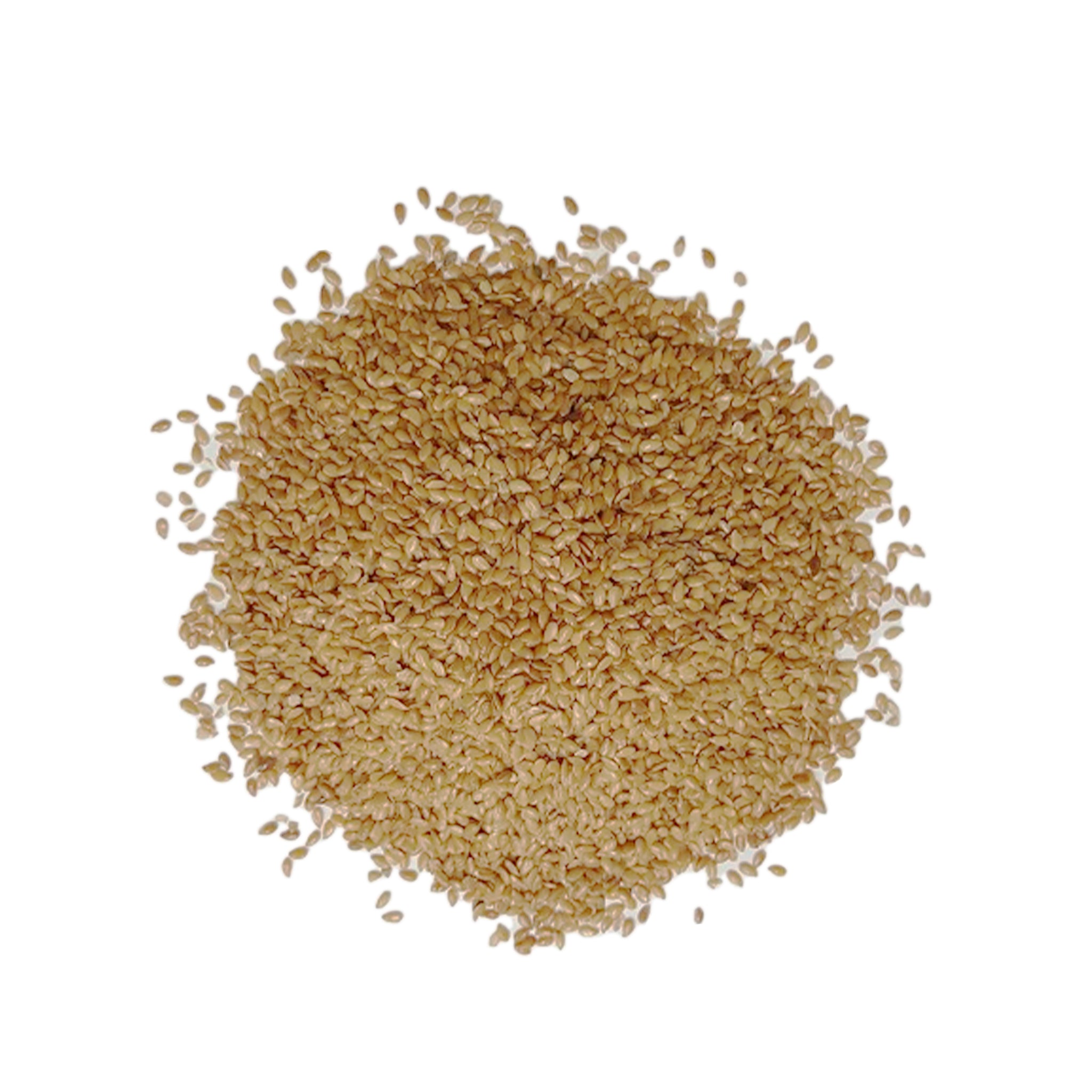 Golden Flax Seeds 1lb – Hippocrates Wellness